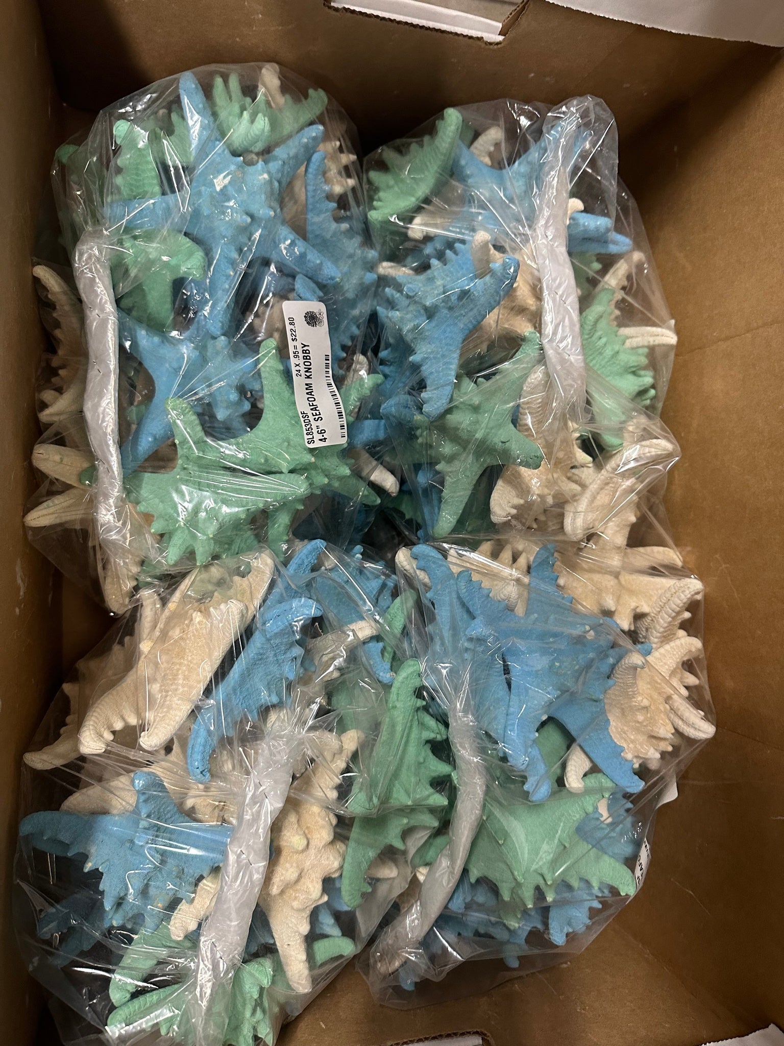 144 PCS 4-6″ SEAFOAM KNOBBY STAR - Darlene's Shells