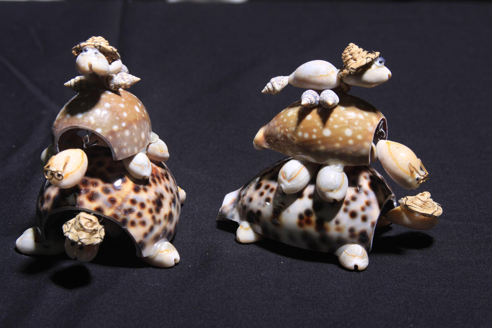 3 STACK TURTLE CYPREA - Darlene's Shells