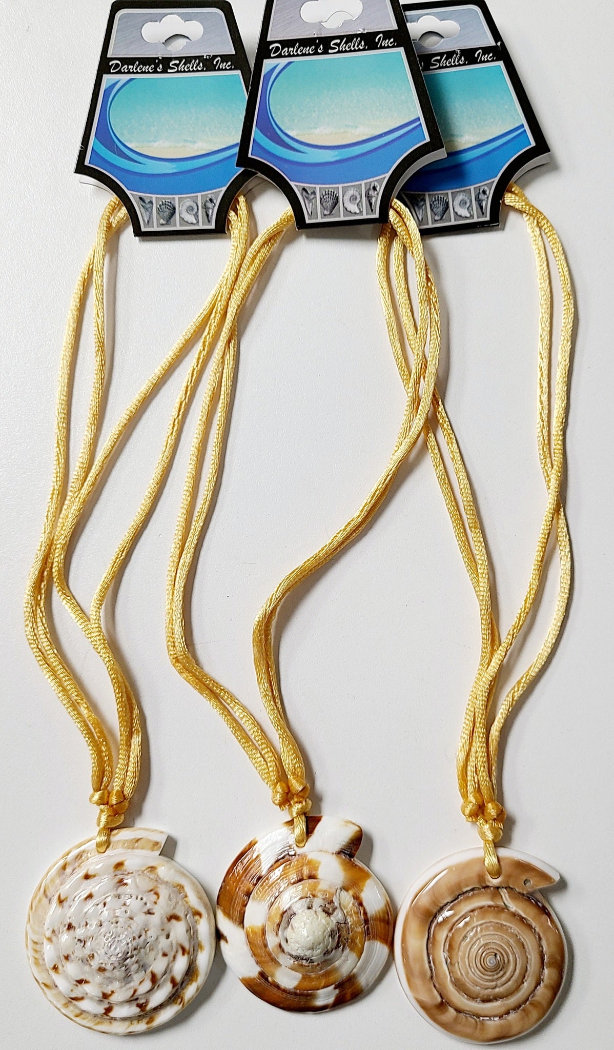 BOLO SEA TURTLE - Darlene's Shells