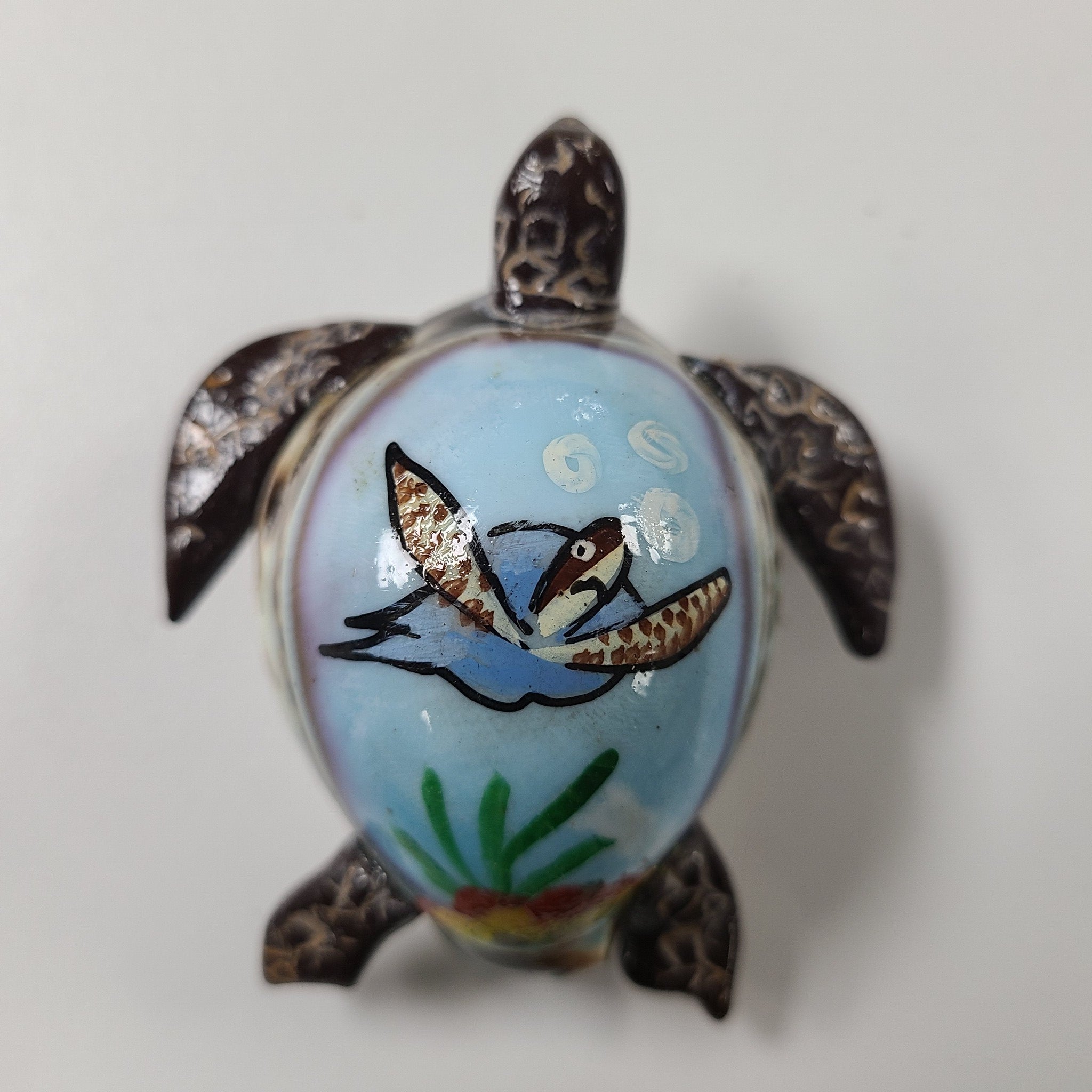 COWRIE RESIN 3D TURTLE MAGNET - Darlene's Shells