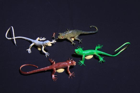 GECKO W/SUCTION CUP - Darlene's Shells