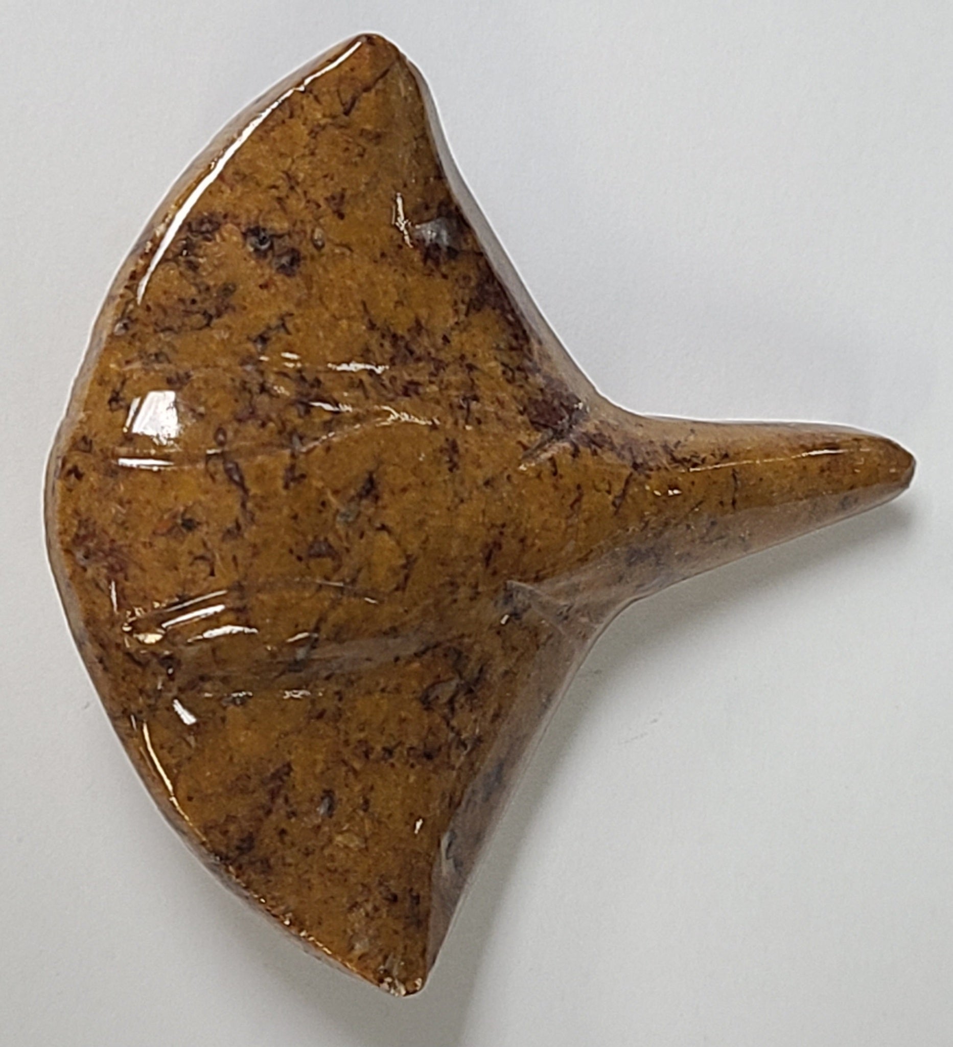 MARBLE STINGRAY 1 - Darlene's Shells