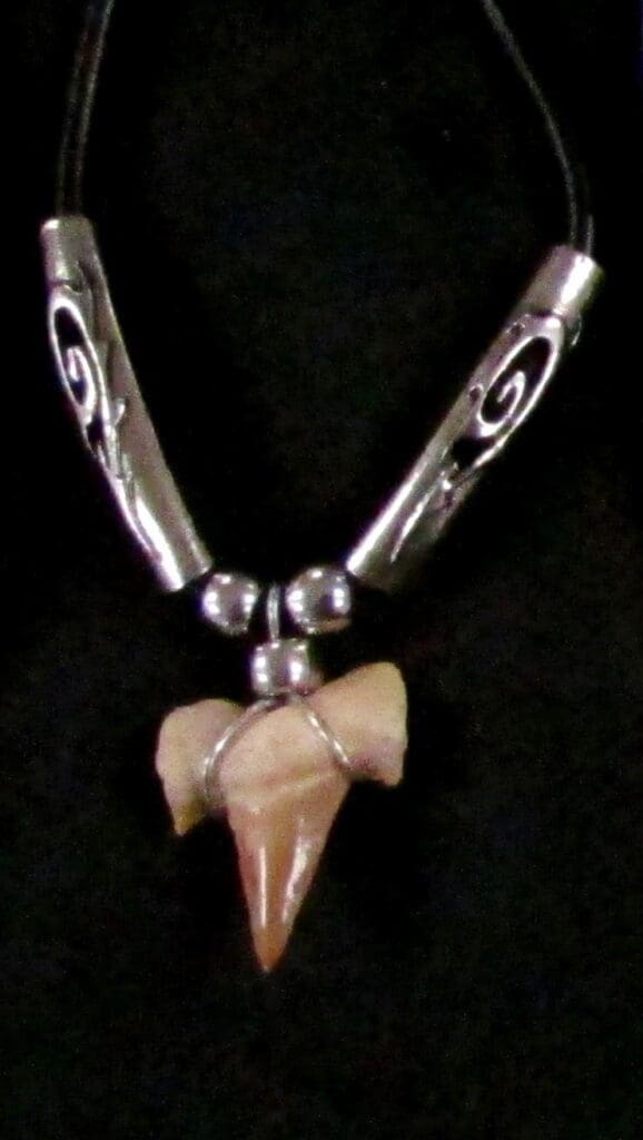 Shark Tooth Necklaces - Darlene's Shells