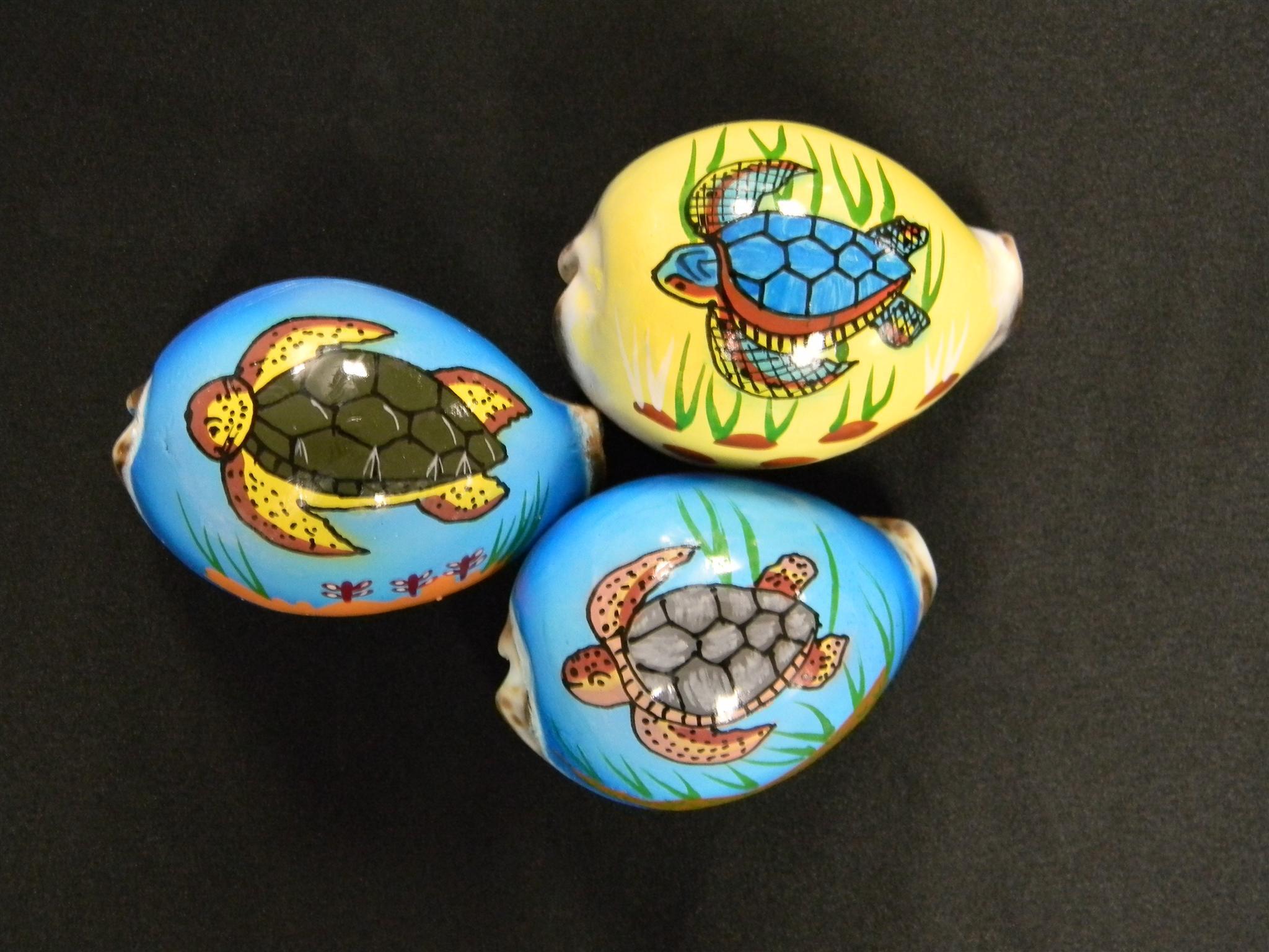PAINTED TURTLES - Darlene's Shells