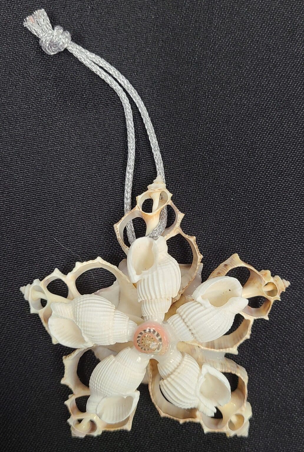 SHELL ORNAMENT - Darlene's Shells