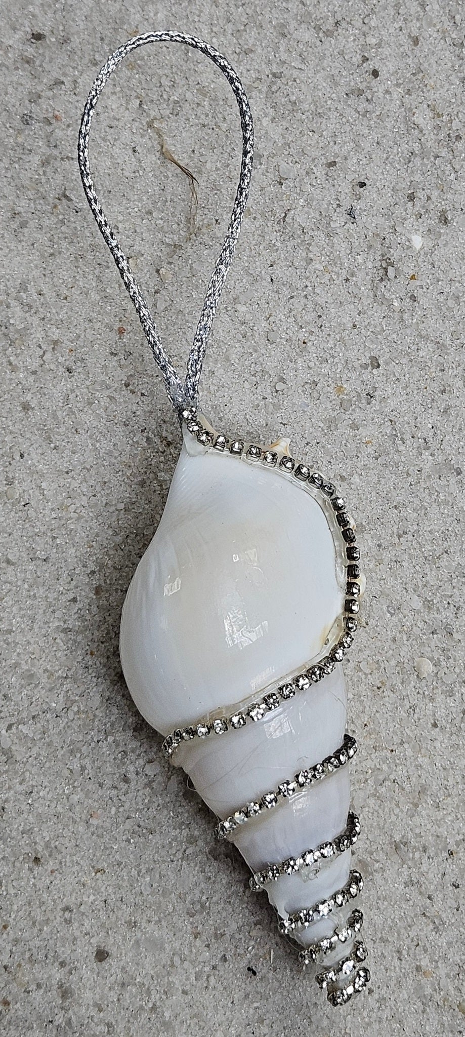 Tibia Embellished Ornament - Darlene's Shells